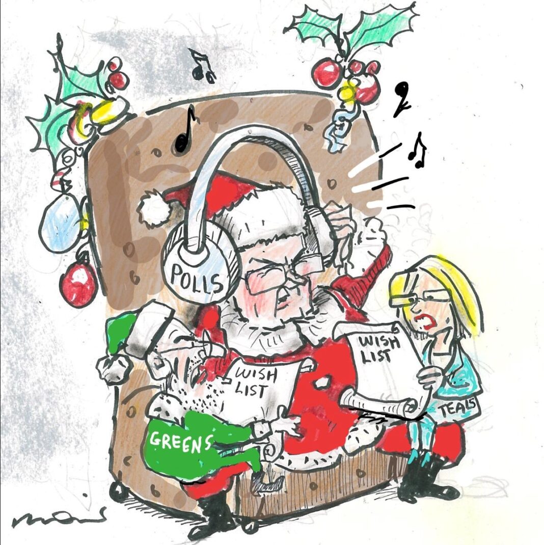 Thank You, readers and Merry Christmas - VicNews