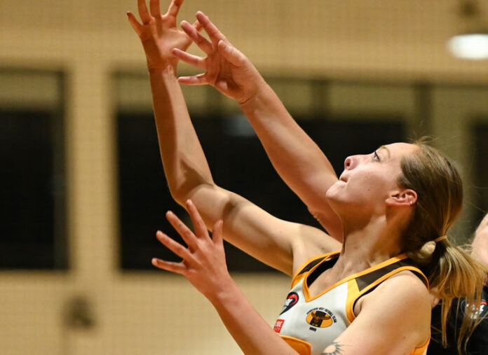 Hawks fly back onto winners list - VicNews