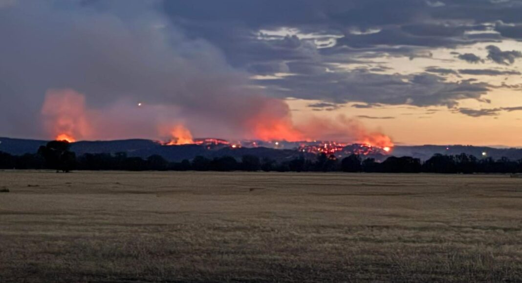 LIVE: Fire news and emergency information - VicNews